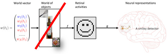 Vision | An Open Access Journal from MDPI