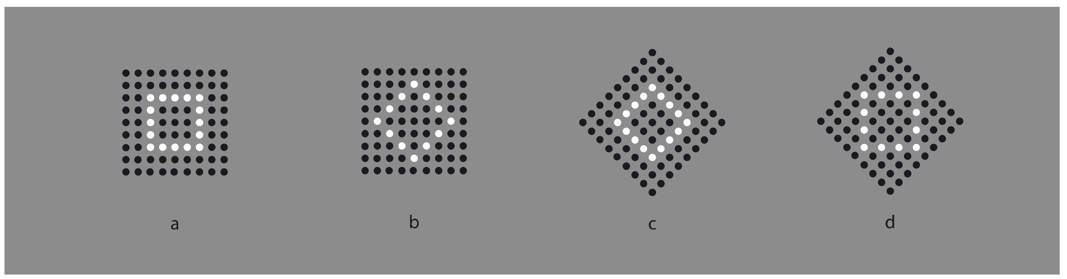 Similarity Principle