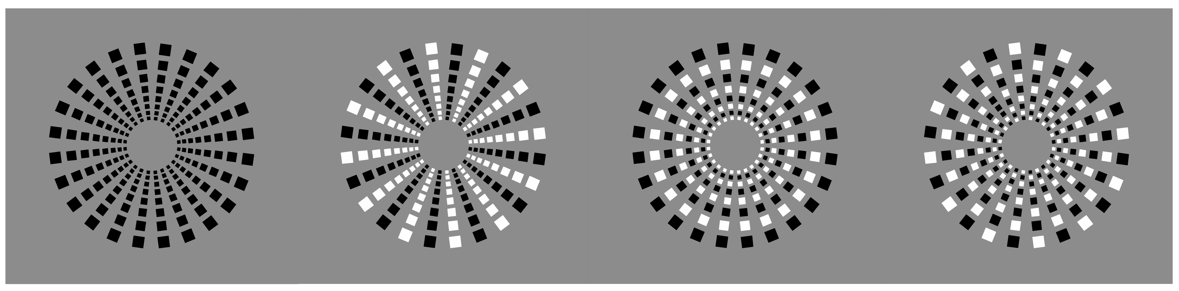 Vision | Free Full-Text | Similarity and Dissimilarity in Perceptual ...