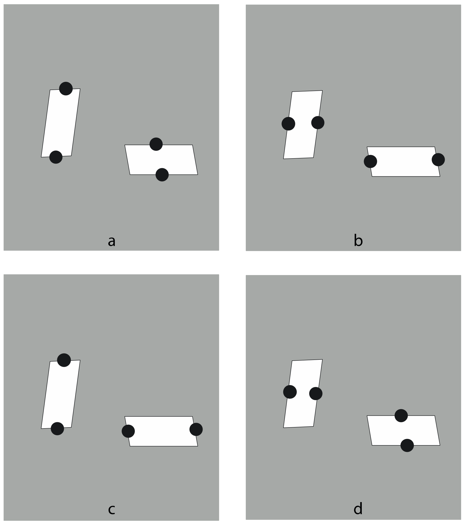 Vision | Free Full-Text | Similarity and Dissimilarity in Perceptual ...