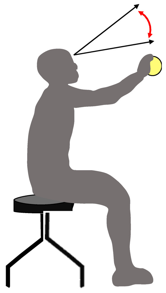 Properties of Gaze Strategies Based on Eye–Head Coordination in a Ball ...