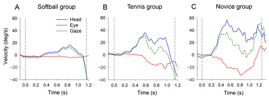 Properties of Gaze Strategies Based on Eye–Head Coordination in a Ball ...
