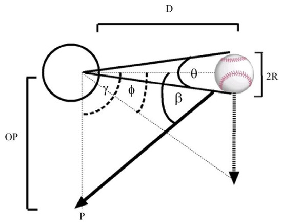 Ball-Flight Viewing Duration and Estimates of Passing Height in Baseball