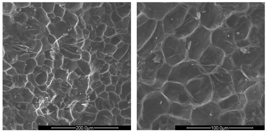 Rosaceae Nut-Shells as Sustainable Aggregate for Potential Use in Non ...