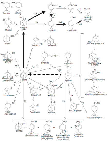 Overview of the Biotransformation of Limonene and α-Pinene from Wood ...