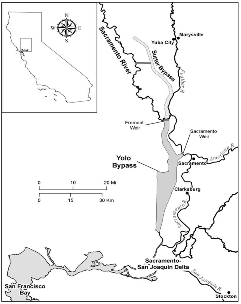 Water | Free Full-Text | Flood Management in California
