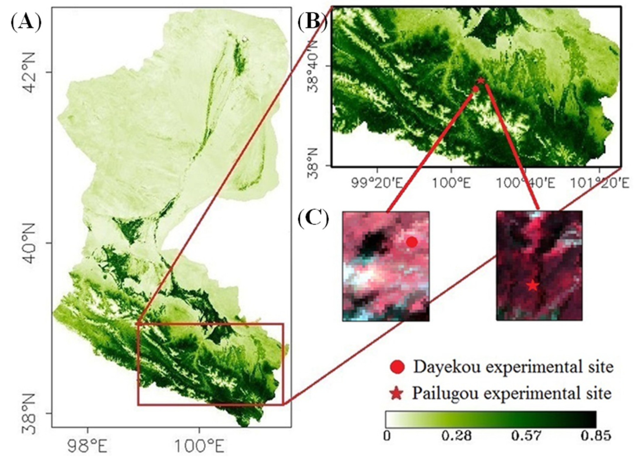 A Modified Gash Model for Estimating Rainfall Interception Loss of ...