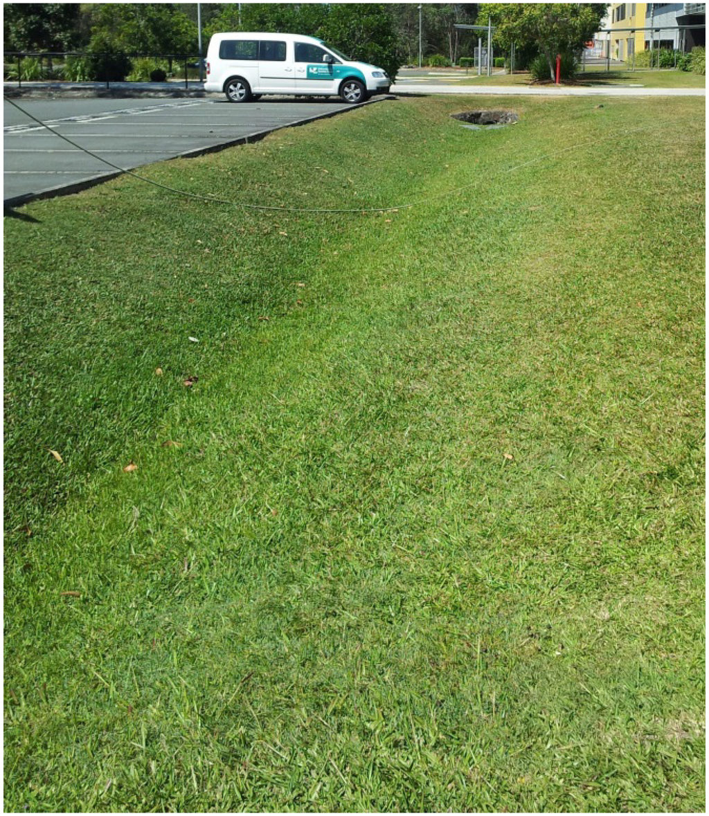 Pollutant Removal and Hydraulic Reduction Performance of Field Grassed ...