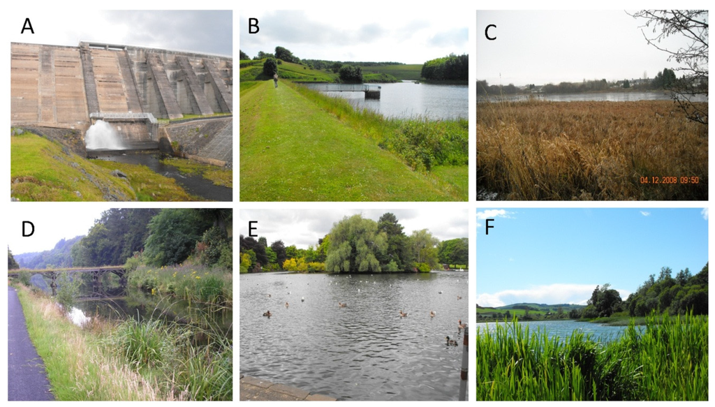 Predicting Multiple Functions of Sustainable Flood Retention Basins ...