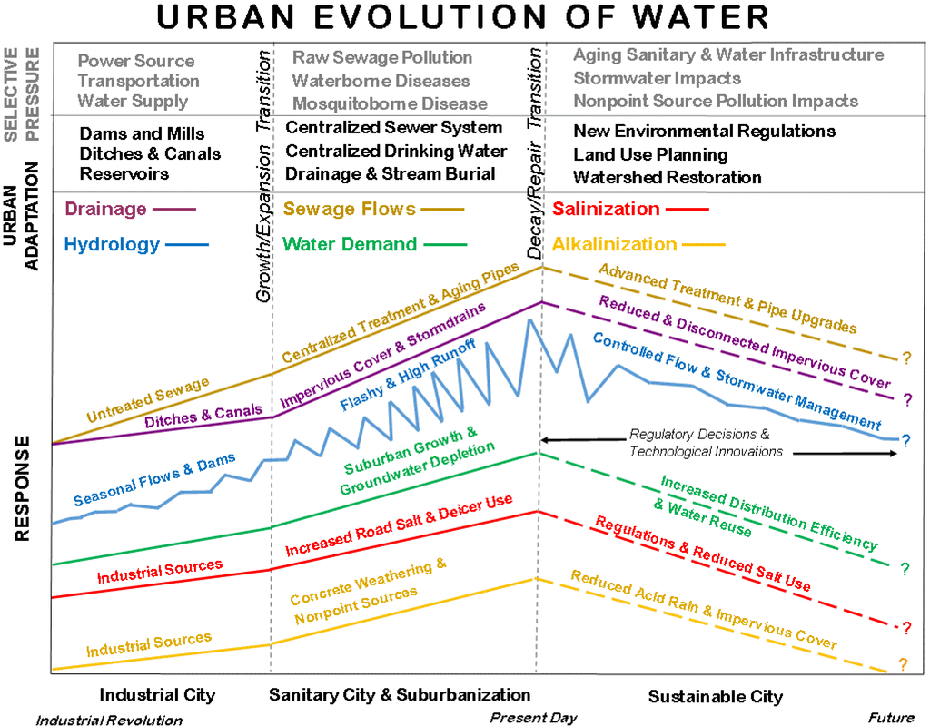 Water | Free Full-Text | Urban Evolution: The Role of Water