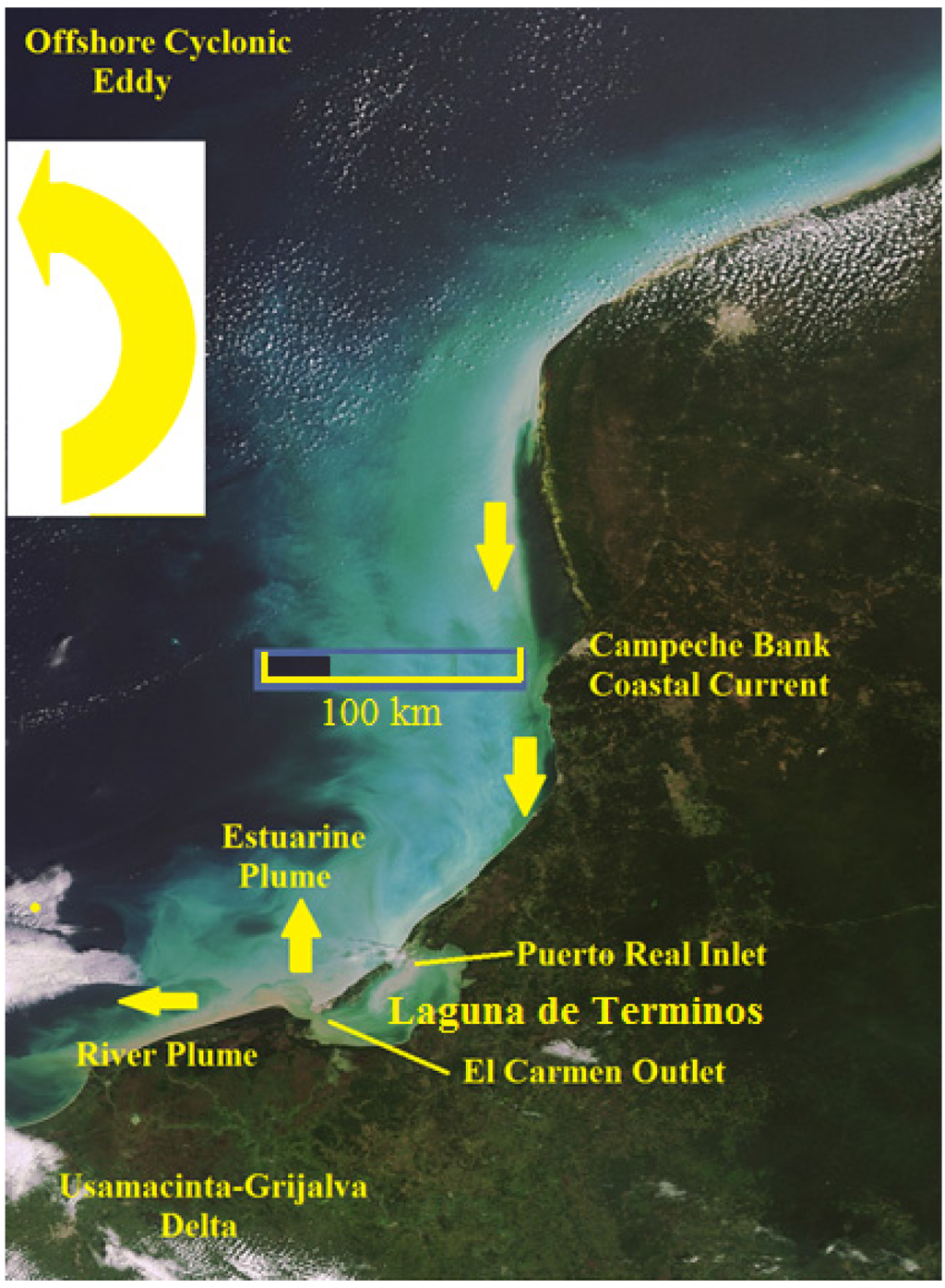 Can Continental Shelf River Plumes in the Northern and Southern Gulf of ...