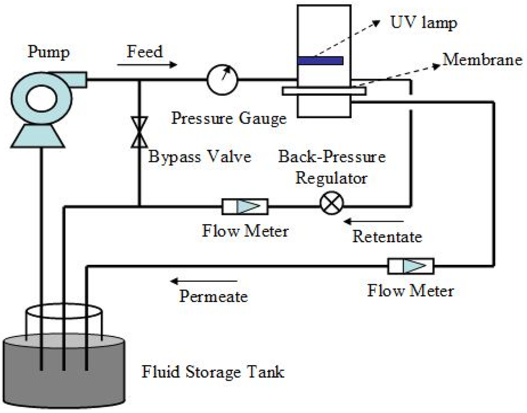 Preliminary Study on the Removal of Steroidal Estrogens Using TiO2 ...