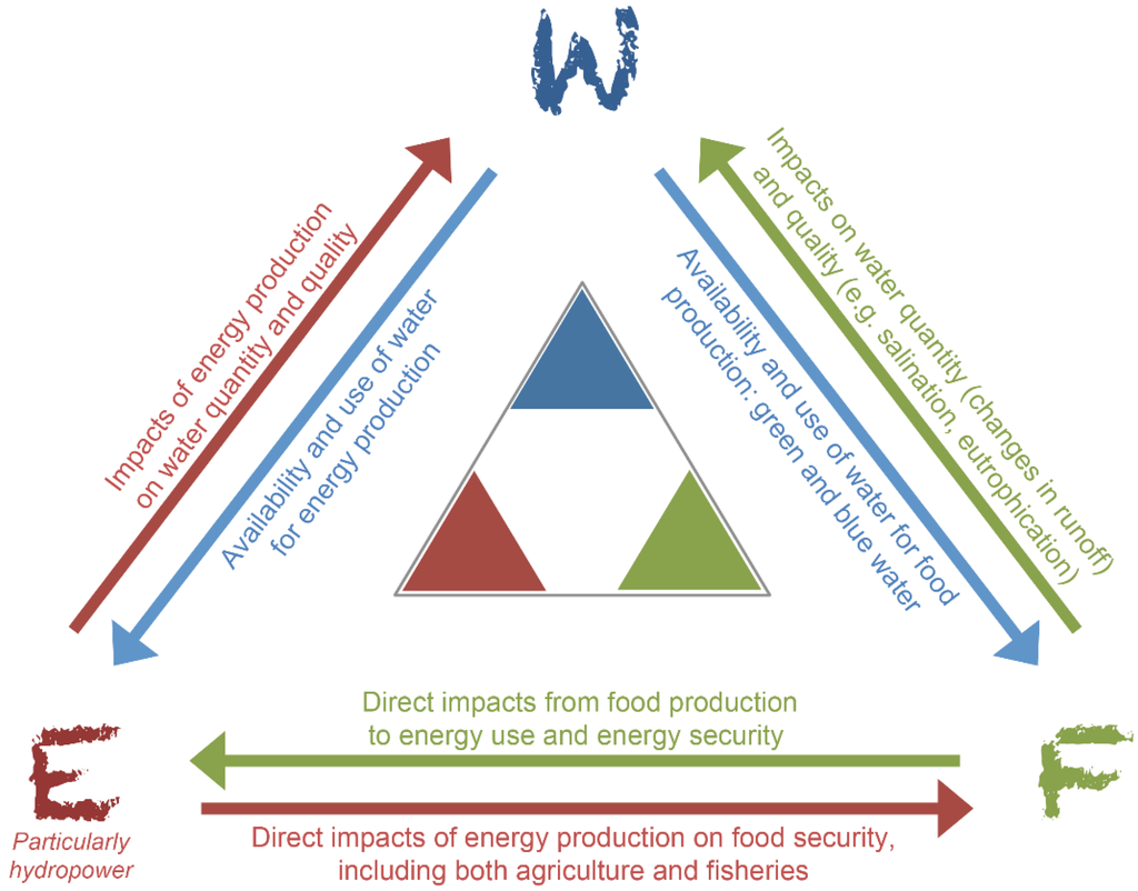 The Water-Energy-Food Nexus and the Transboundary Context: Insights ...