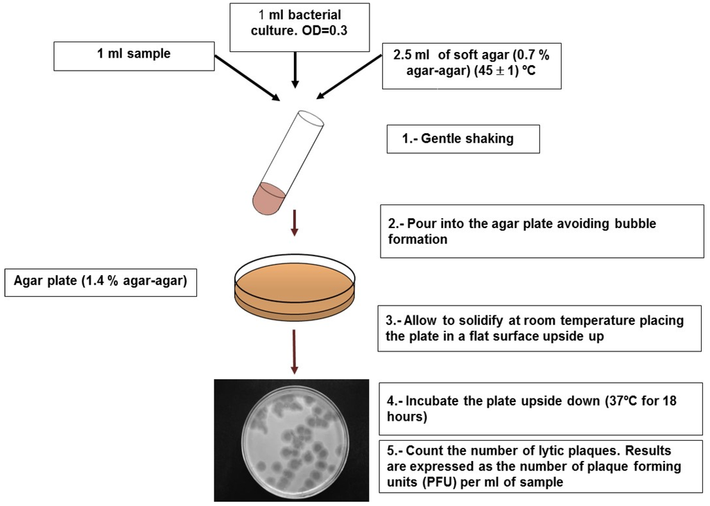 Water | Special Issue : Pathogens in Water