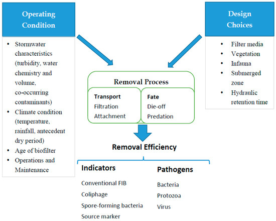 Indicator and Pathogen Removal by Low Impact Development Best ...