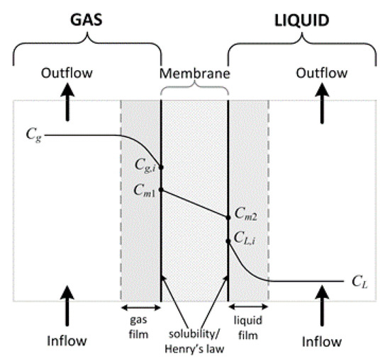 Modelling of Ozone Mass-Transfer through Non-Porous Membranes for Water ...