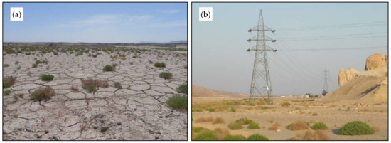 A Hydrological and Geomorphometric Approach to Understanding the ...