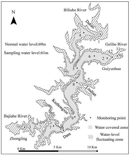 Spatial Distribution, Adsorption/Release Characteristics, and ...
