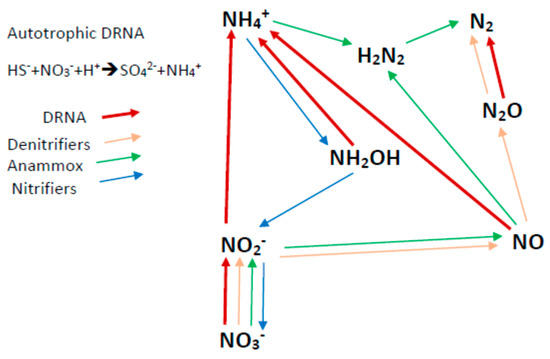 The Zeolite-Anammox Treatment Process for Nitrogen Removal from ...