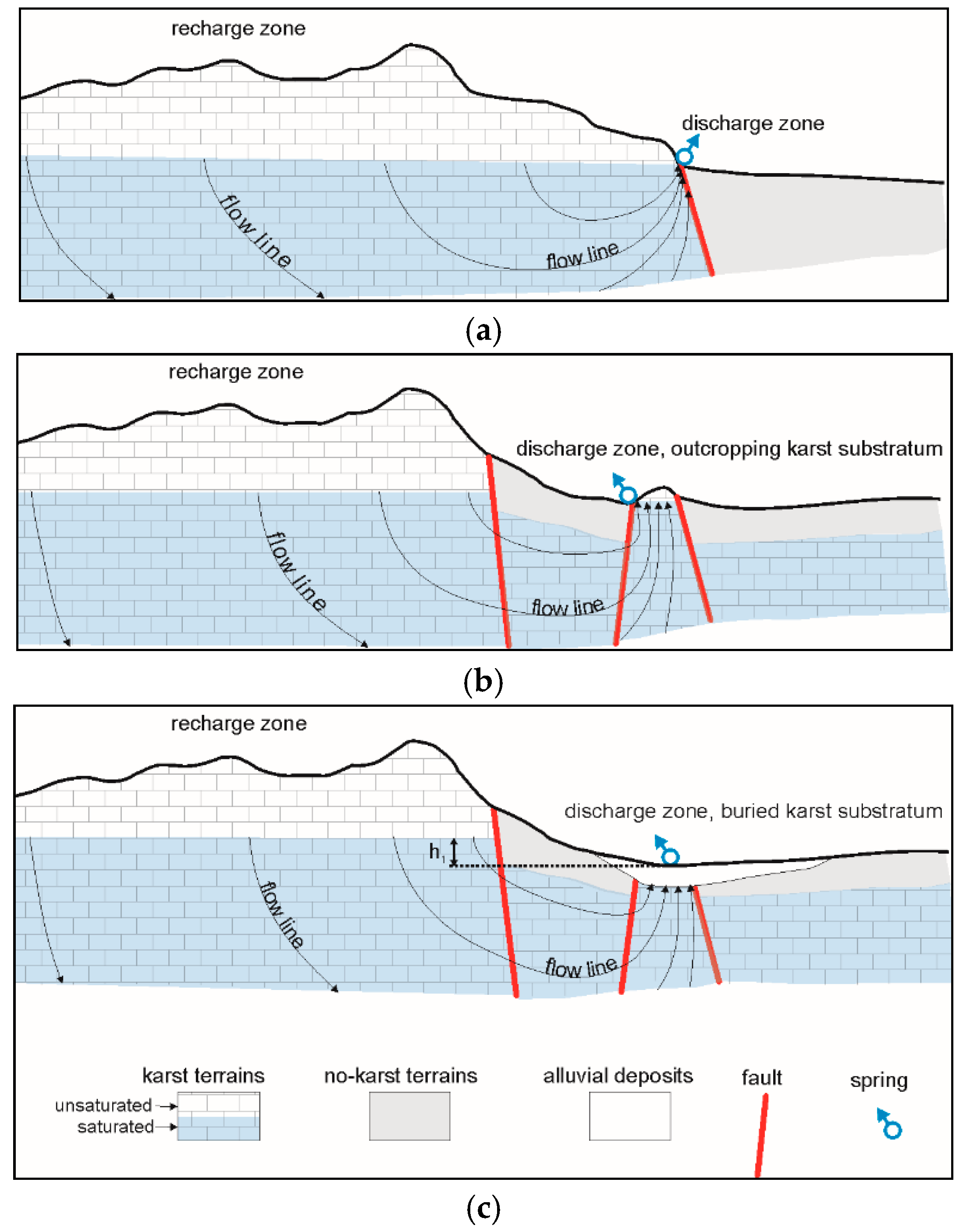 The Upwelling Water Flux Feeding Springs: Hydrogeological and Hydraulic ...