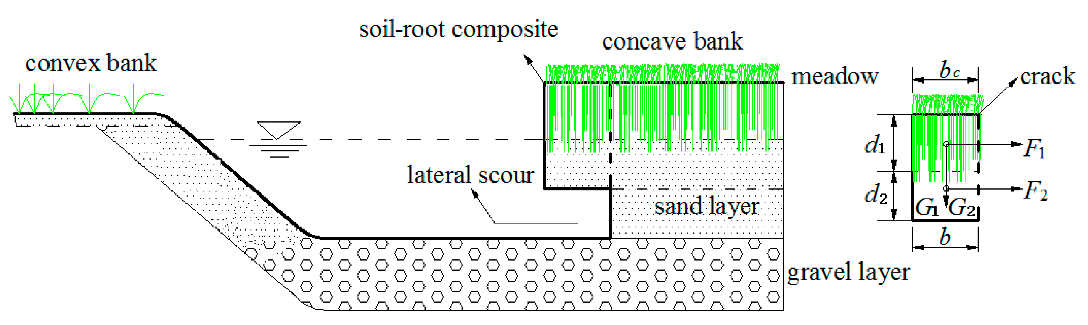The Influences of Riparian Vegetation on Bank Failures of a Small ...