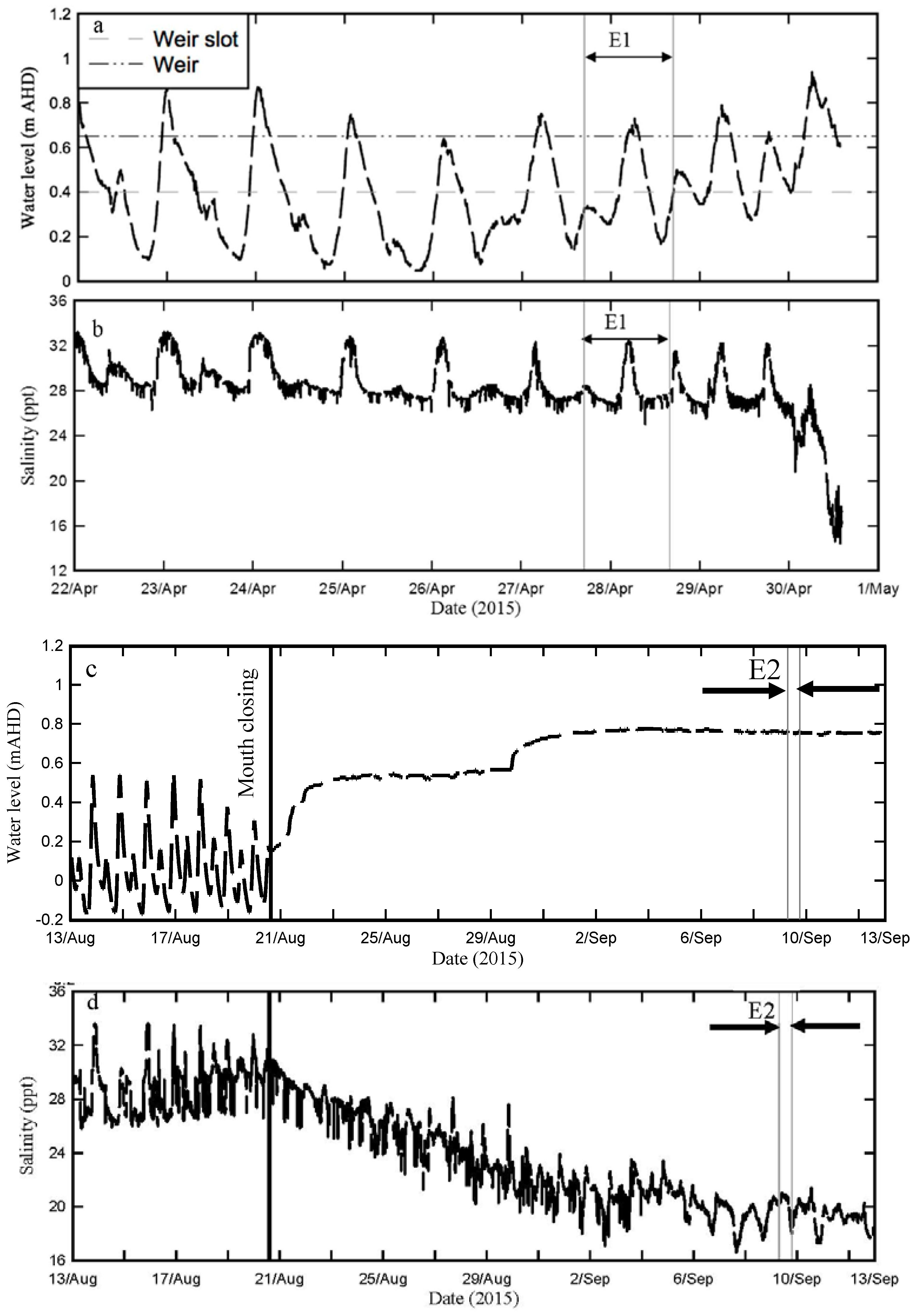 Observation of the Dynamics and Horizontal Dispersion in a Shallow ...