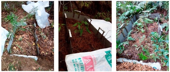 The Effects of Litter Layer and Topsoil on Surface Runoff during ...