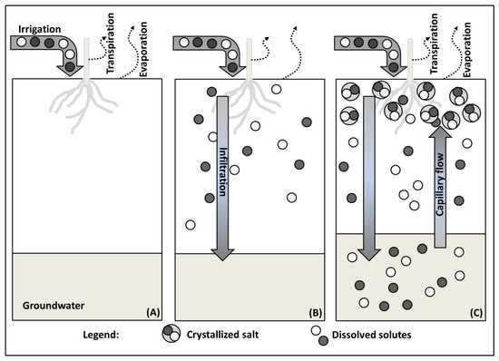 Cropland Soil Salinization and Associated Hydrology: Trends, Processes ...