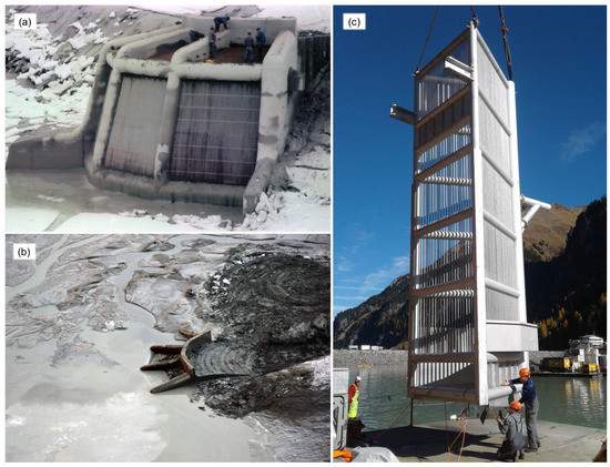 Water | Free Full-Text | Adaptation of an Existing Intake Structure ...