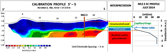 High-Resolution Electrical Resistivity Tomography (ERT) to Characterize ...