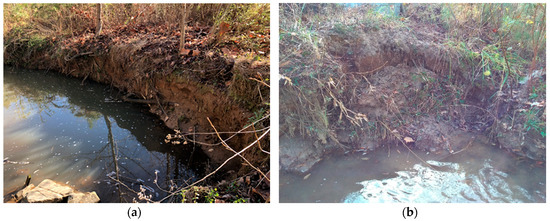 Streambank Erosion: Advances in Monitoring, Modeling and Management