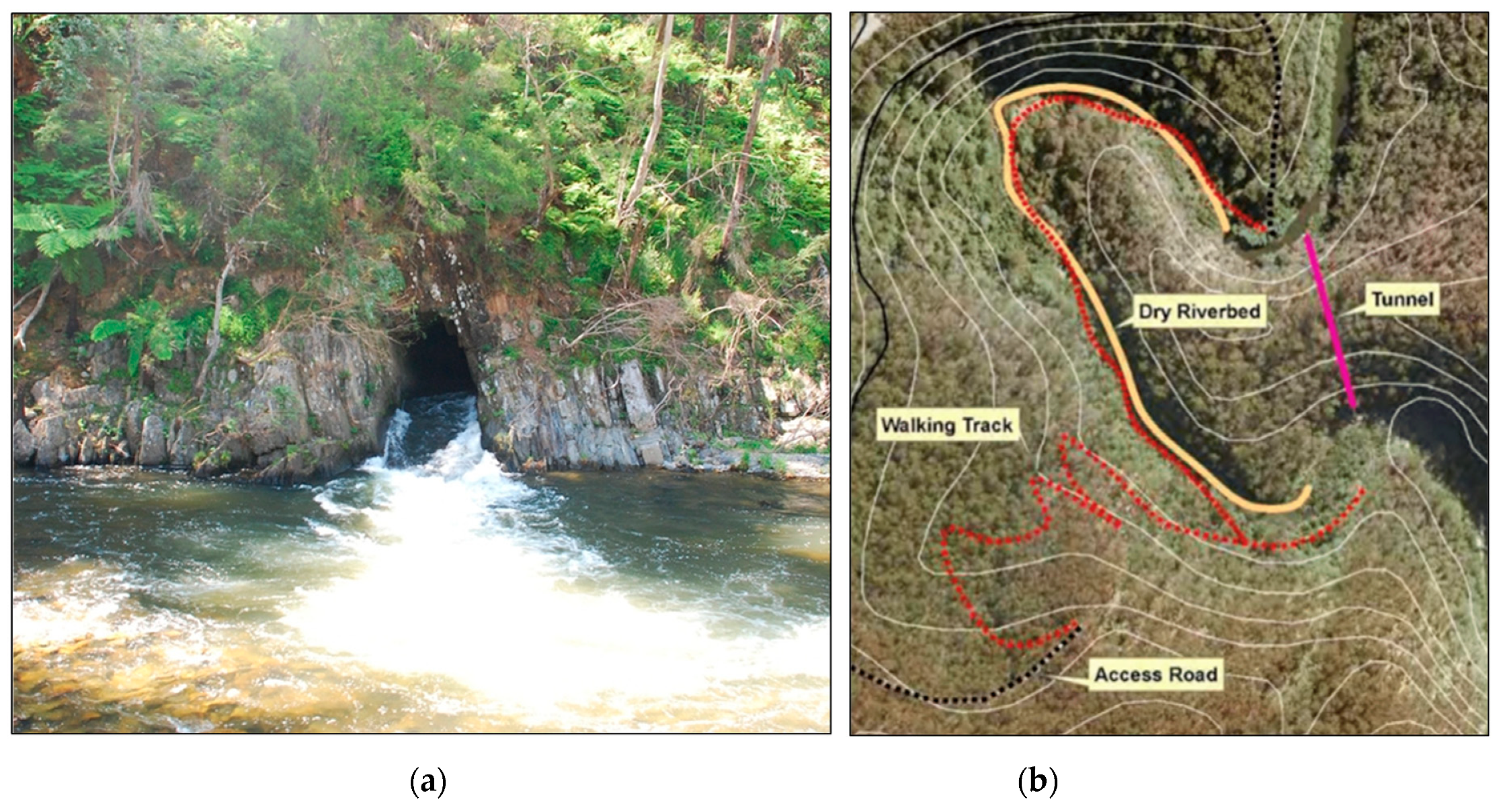 River Channel Relocation: Problems and Prospects
