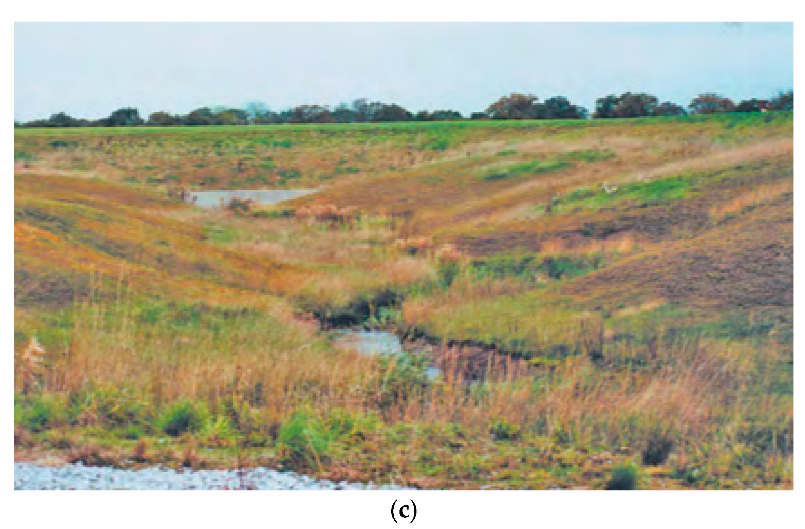 River Channel Relocation: Problems and Prospects