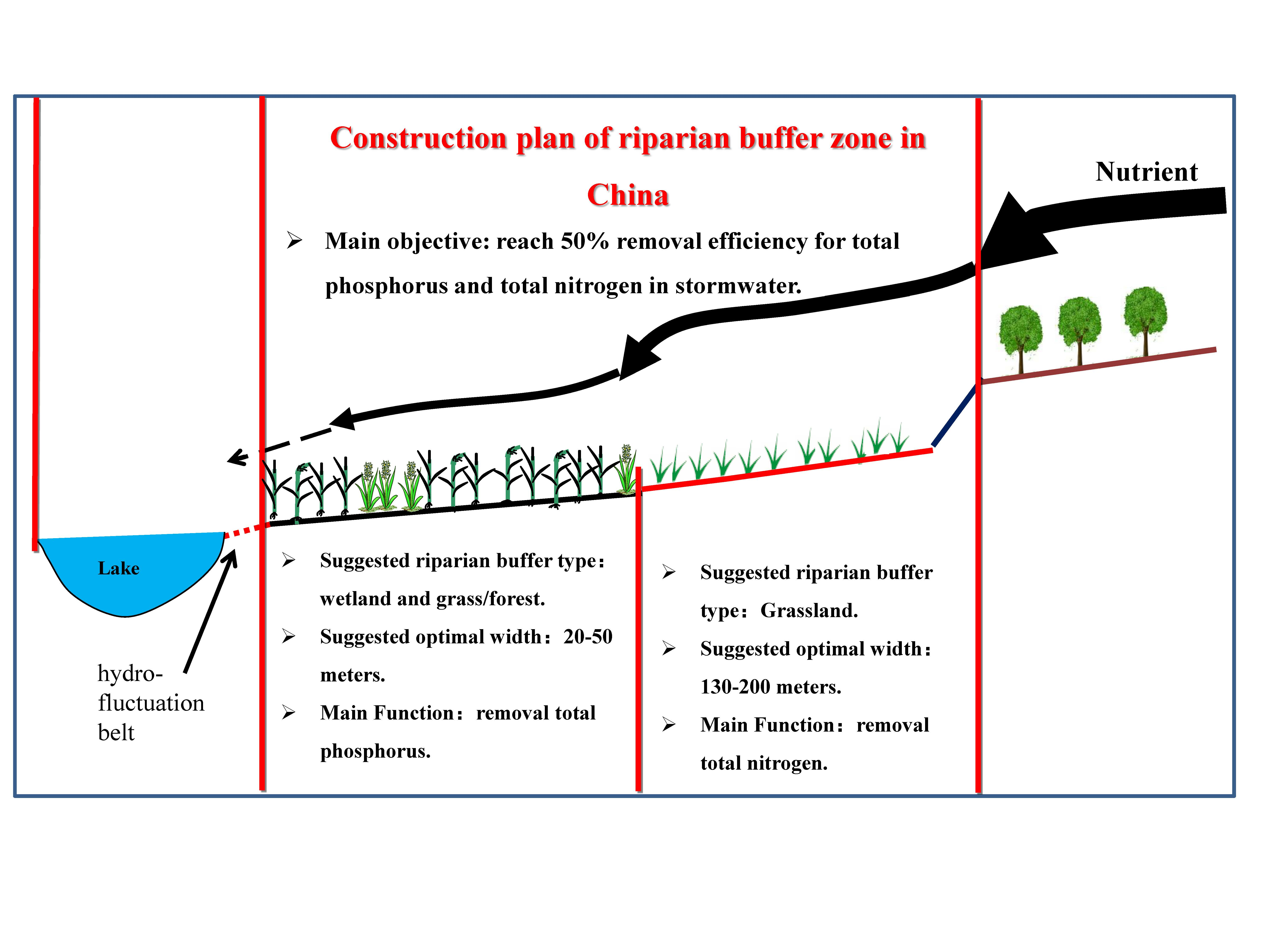 Water | Free Full-Text | The Optimal Width and Mechanism of Riparian ...