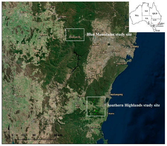 Water Sources of Upland Swamps in Eastern Australia: Implications for ...