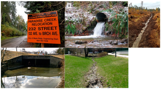 Biological Diversity in Headwater Streams