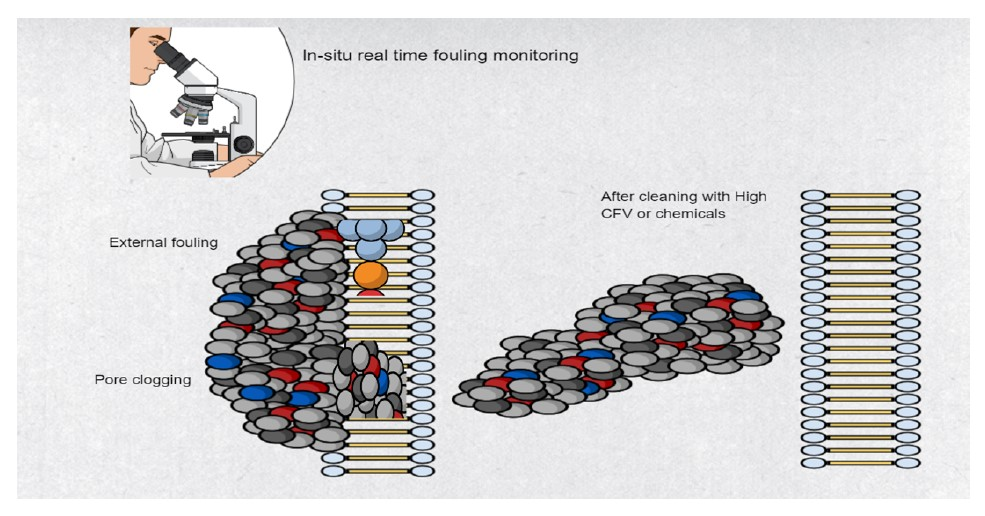 Water | Free Full-Text | A Review of Fouling Mechanisms, Control ...