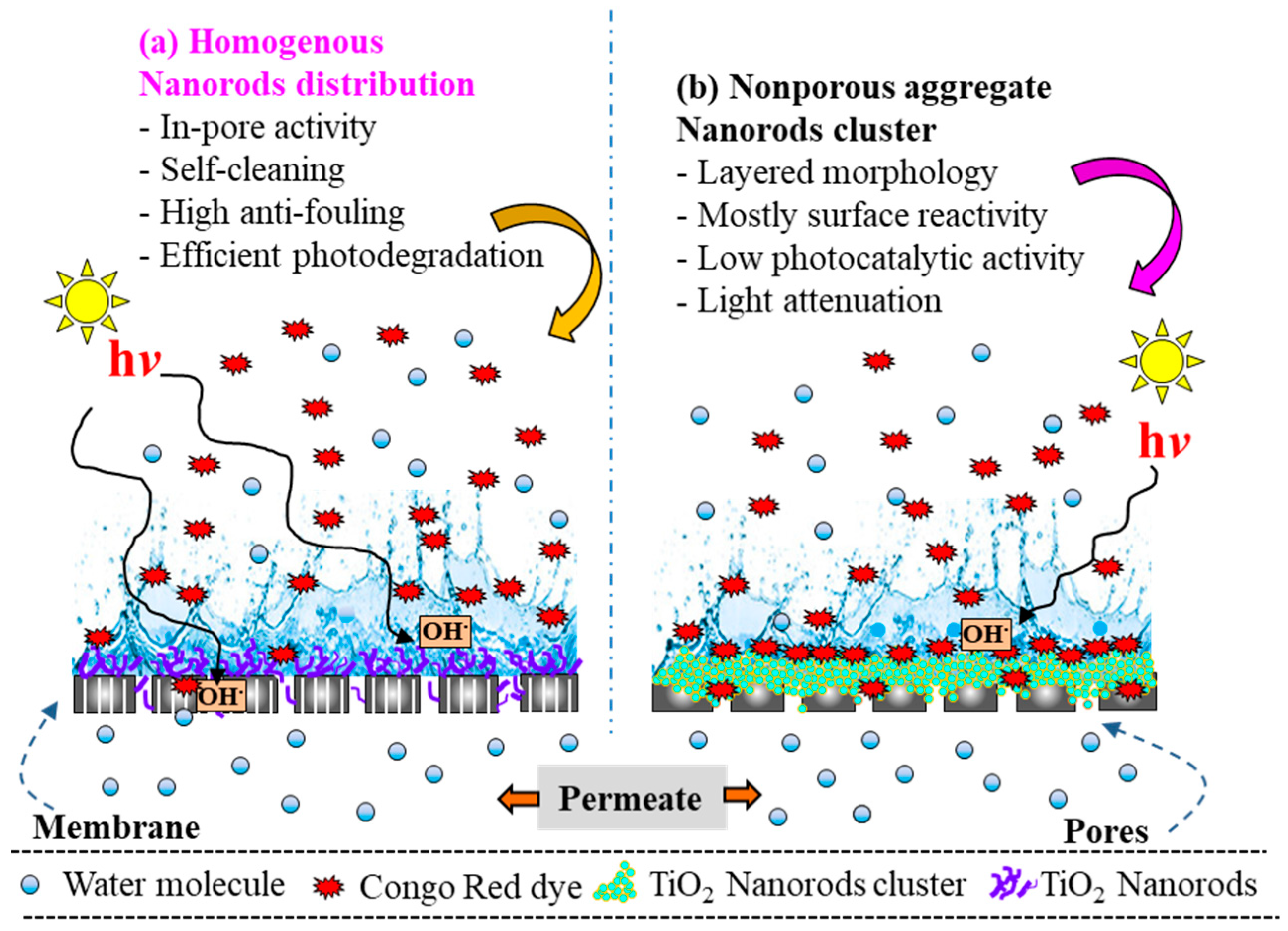 Diethylene Glycol-Assisted Organized TiO2 Nanostructures for ...