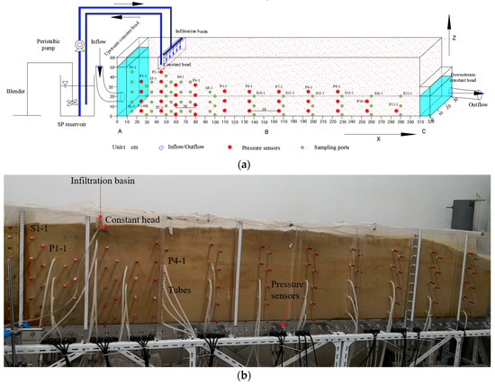 Water | Free Full-Text | Clogging of Infiltration Basin and Its Impact ...