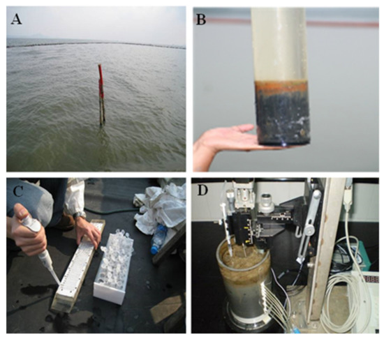 Modified Local Soil (MLS) Technology for Harmful Algal Bloom Control ...