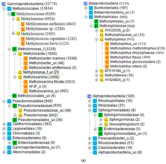 Development of a Combined Aerobic–Anoxic and Methane Oxidation ...