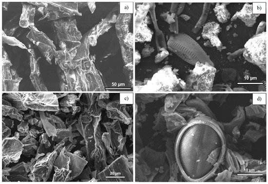 Biochar from A Freshwater Macroalga as A Potential Biosorbent for ...