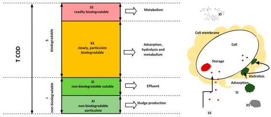 Water | Free Full-Text | New Approach in COD Fractionation Methods