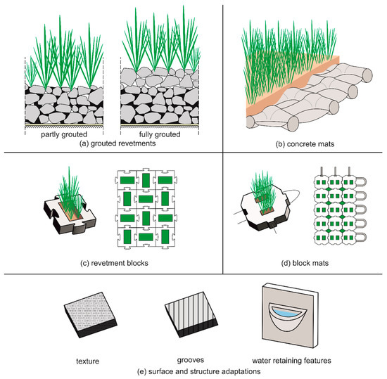 Enhancing the Ecological Value of Sea Dikes