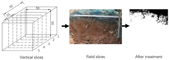 Water | Free Full-Text | Effects of Grass and Forests and the ...