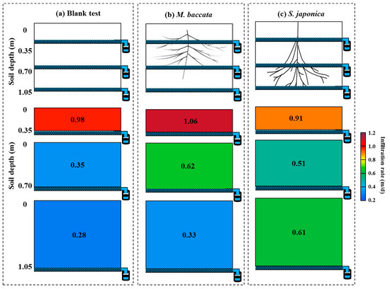 Water | Free Full-Text | Increase and Spatial Variation in Soil ...