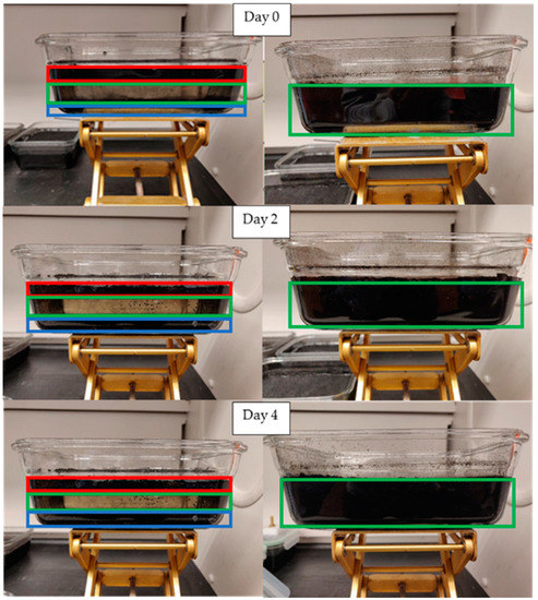 The-Proof-of-Concept of Biochar Floating Cover Influence on Water pH
