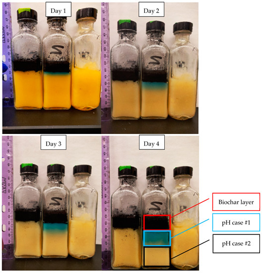 The-Proof-of-Concept of Biochar Floating Cover Influence on Water pH