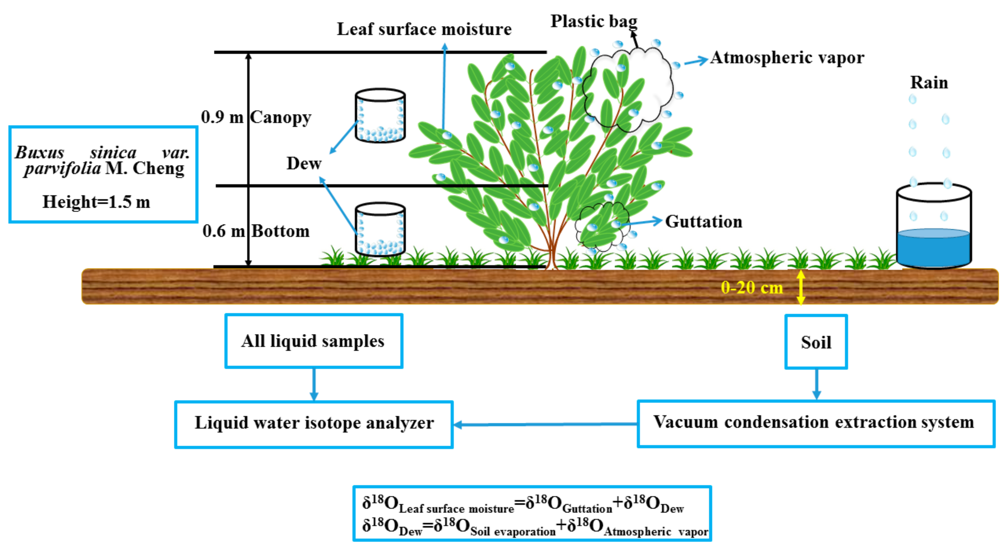 Using Stable Hydrogen and Oxygen Isotopes to Distinguish the Sources of ...
