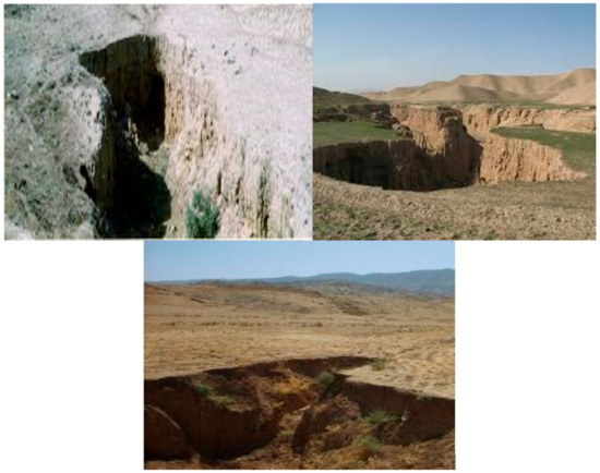 Gully Erosion Susceptibility Mapping Using Multivariate Adaptive ...